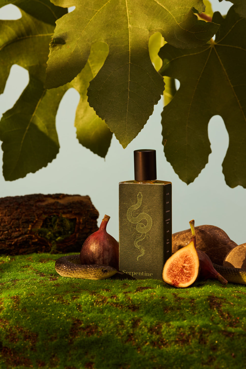 Collections – Sorce